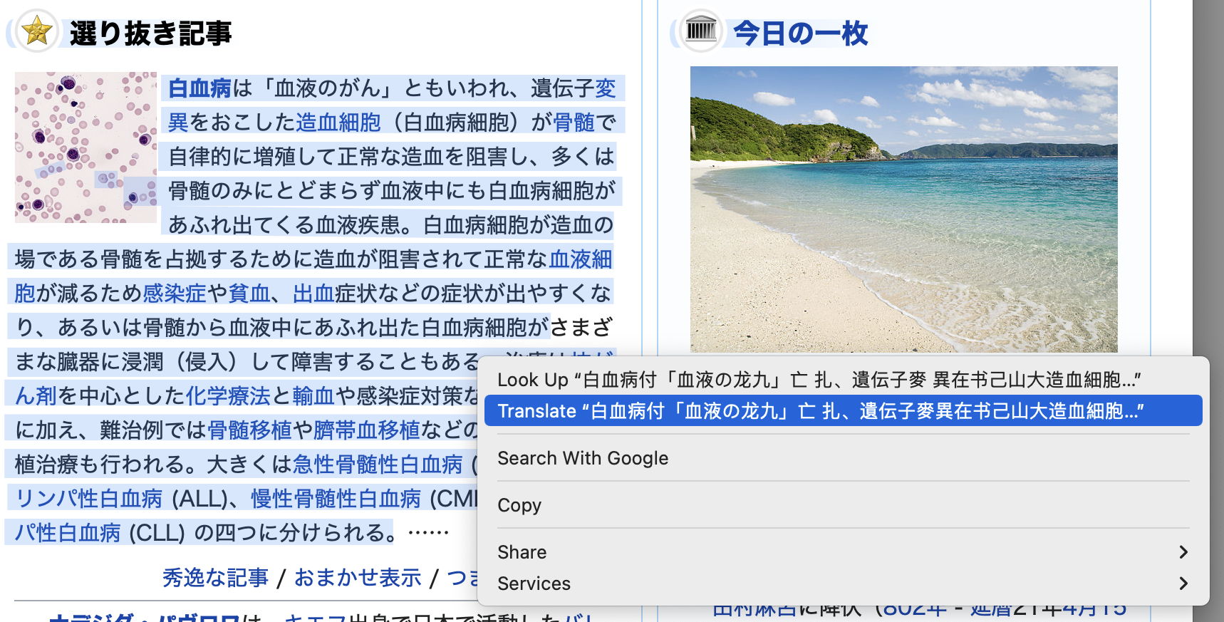 Read Japanese using Live Text and Translation – The Eclectic Light Company