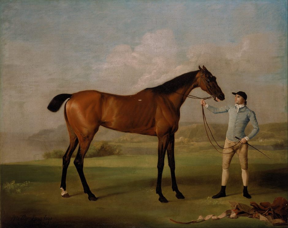 Celebrating the tercentenary of equine artist George Stubbs – The ...